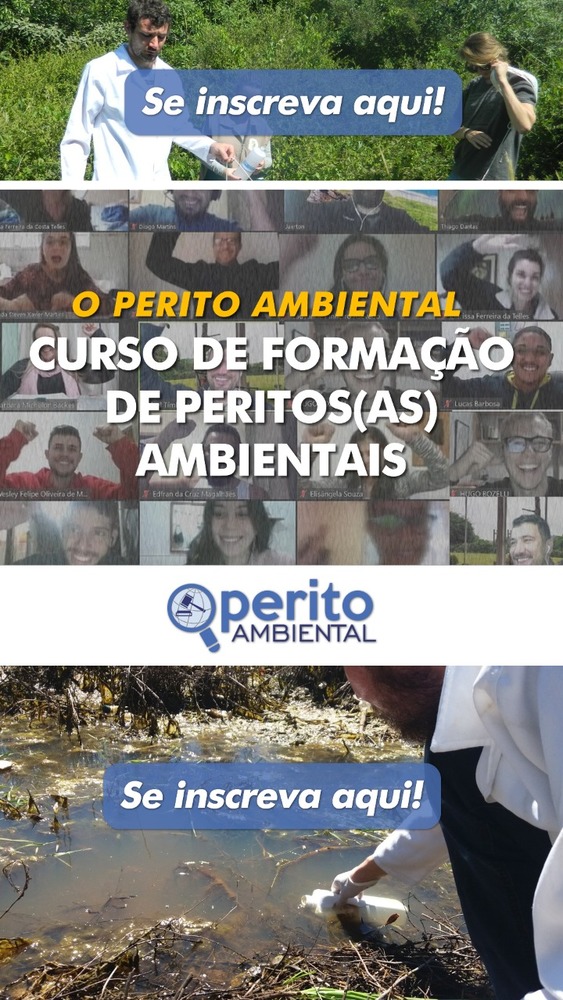 2º Webinar - O Perito Ambiental