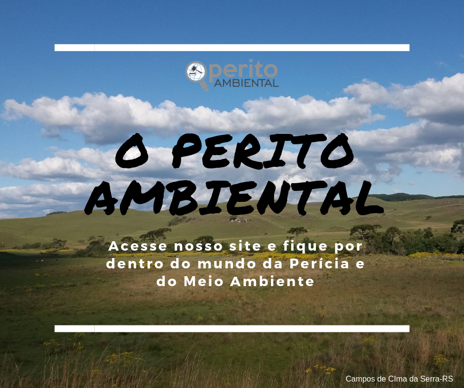 2º Webinar - O Perito Ambiental